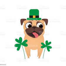 Pug Rescue of San Diego